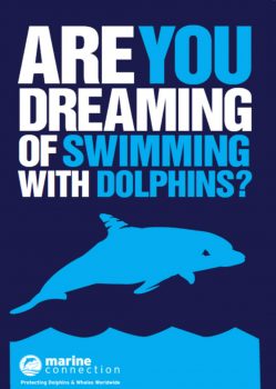 Captivity | Marine Connection