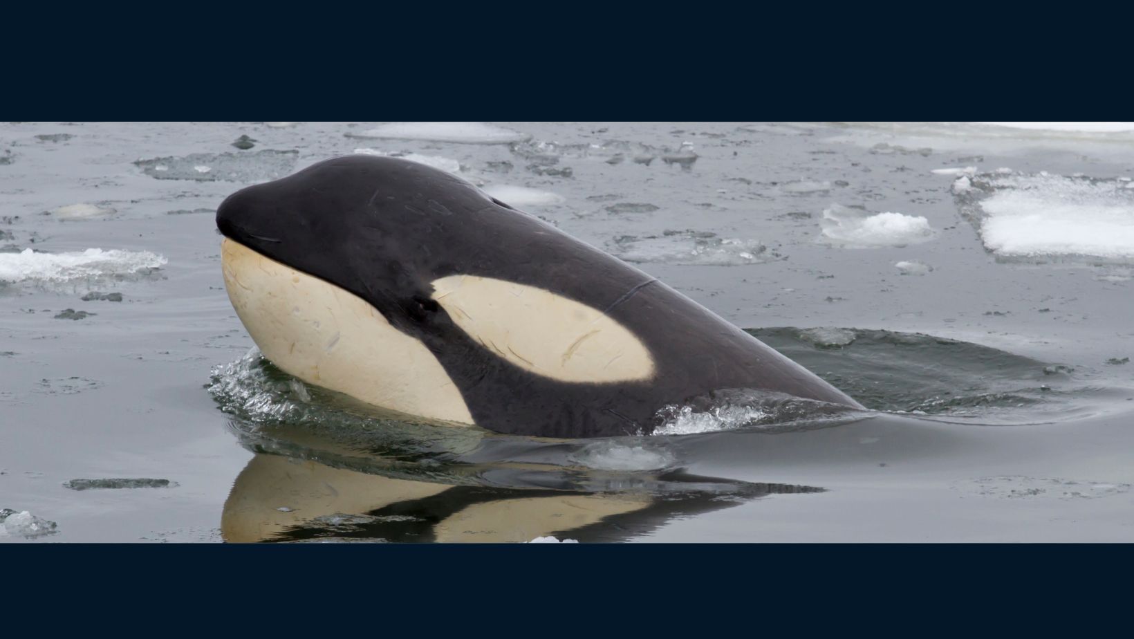 Welcome to Marine Connection