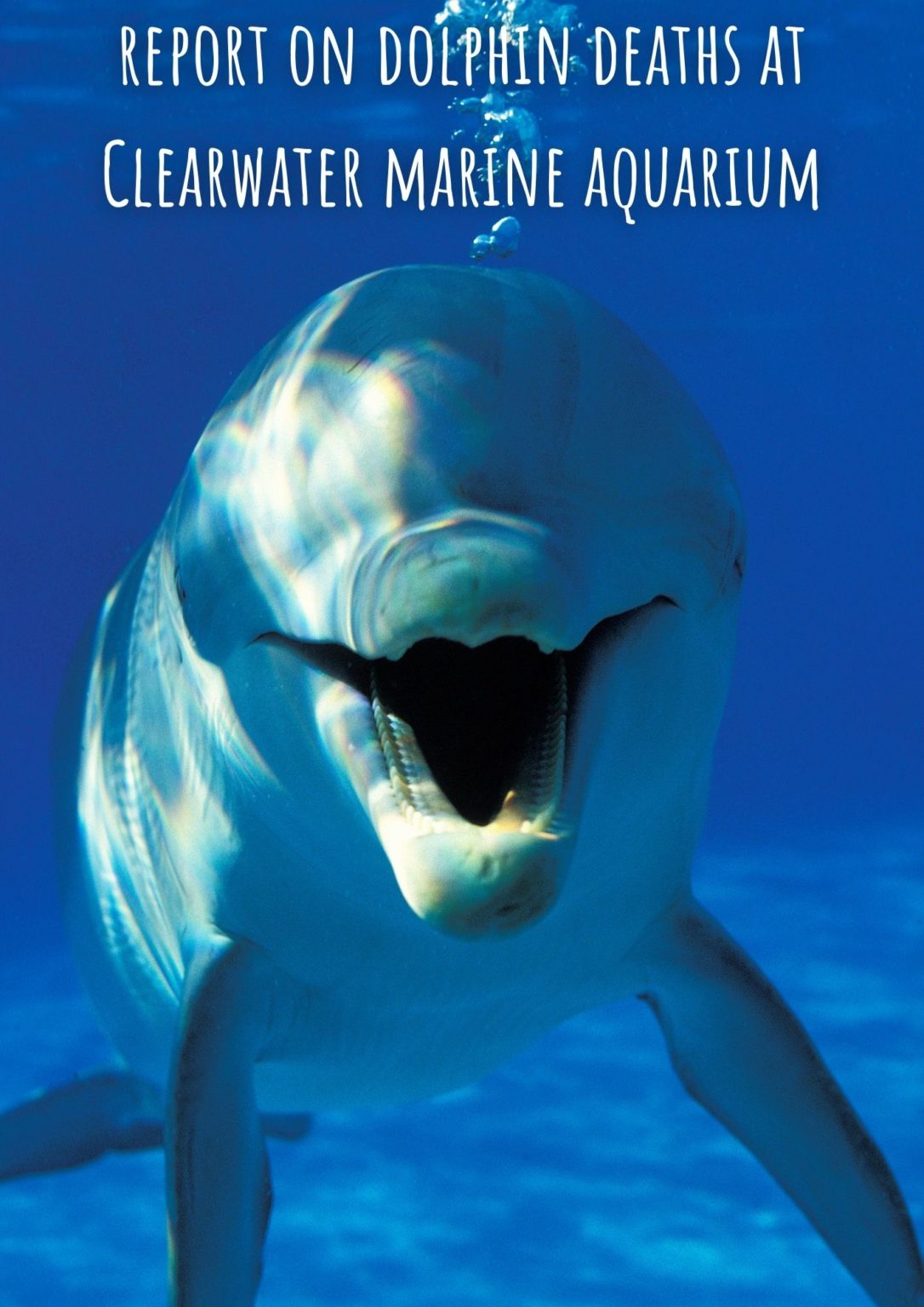 Welcome to Marine Connection