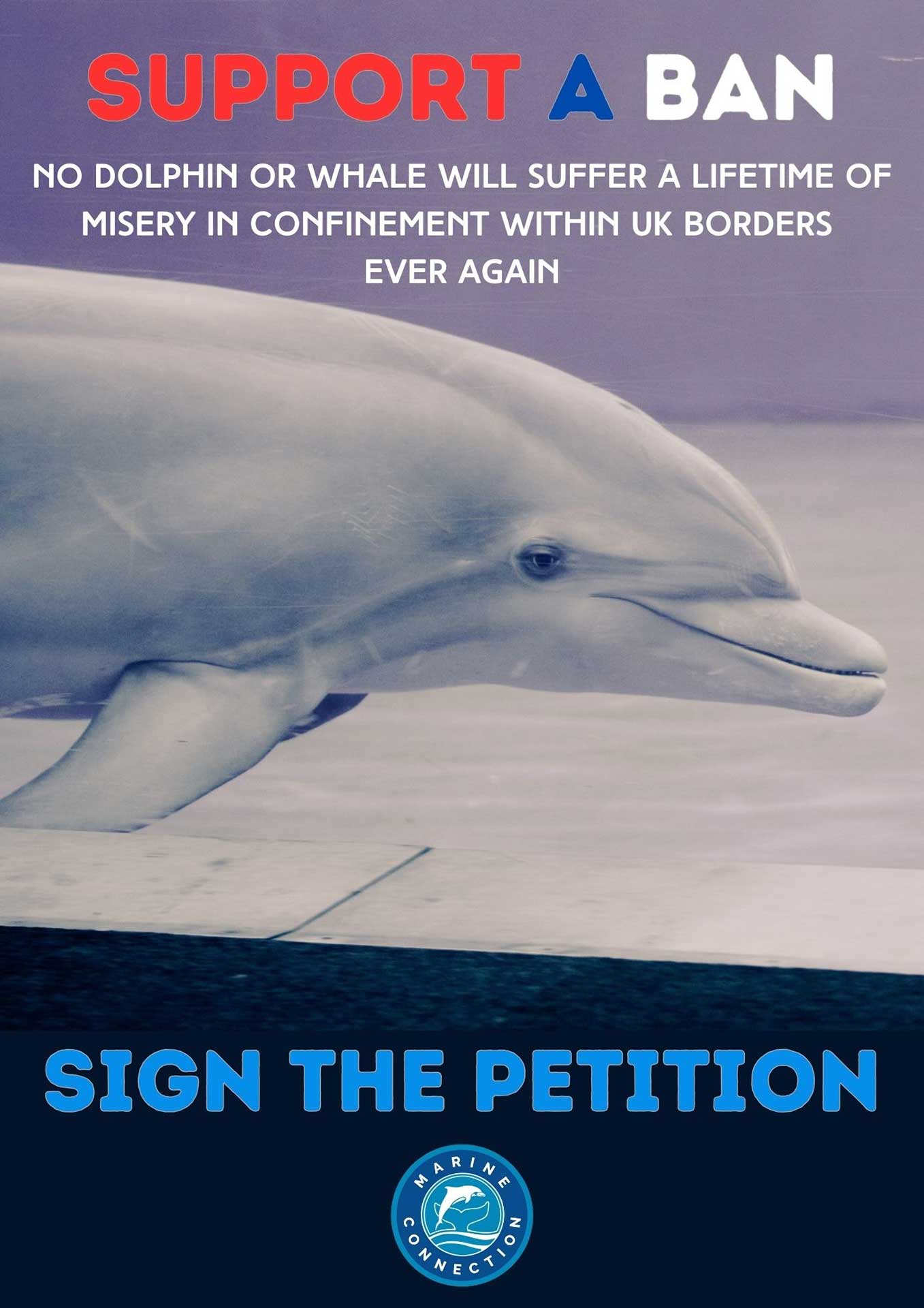Help us ban captivity in the UK | Marine Connection