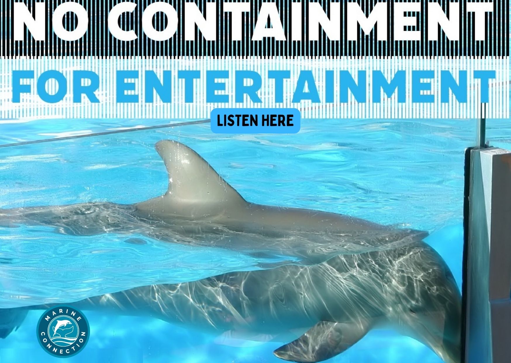 Captivity | Marine Connection