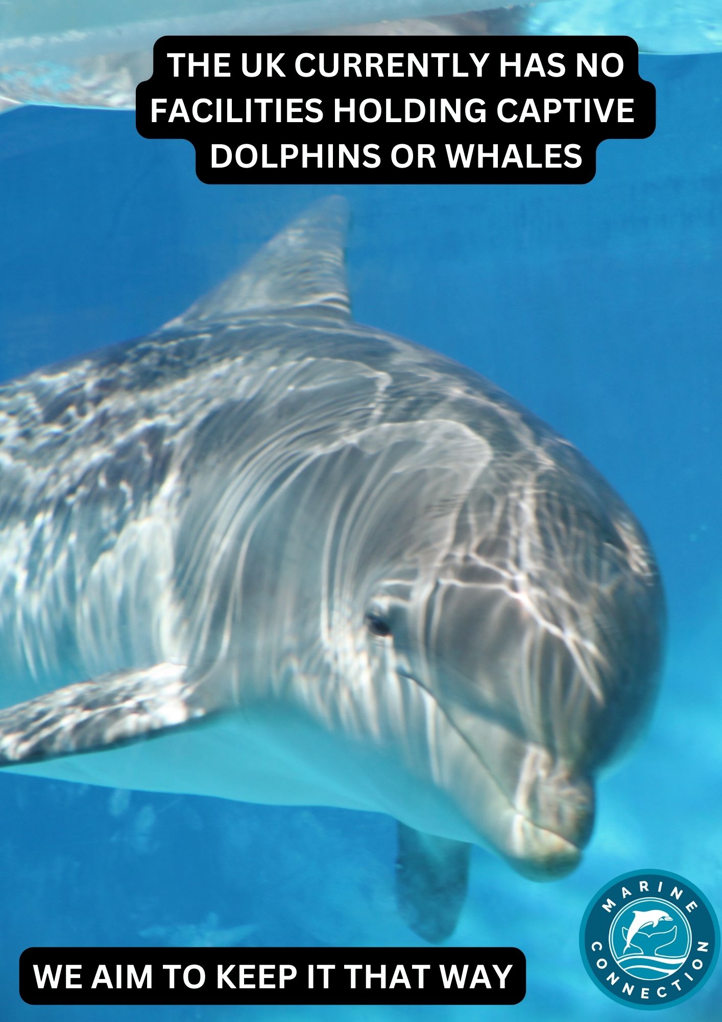 Help us ban captivity in the UK | Marine Connection