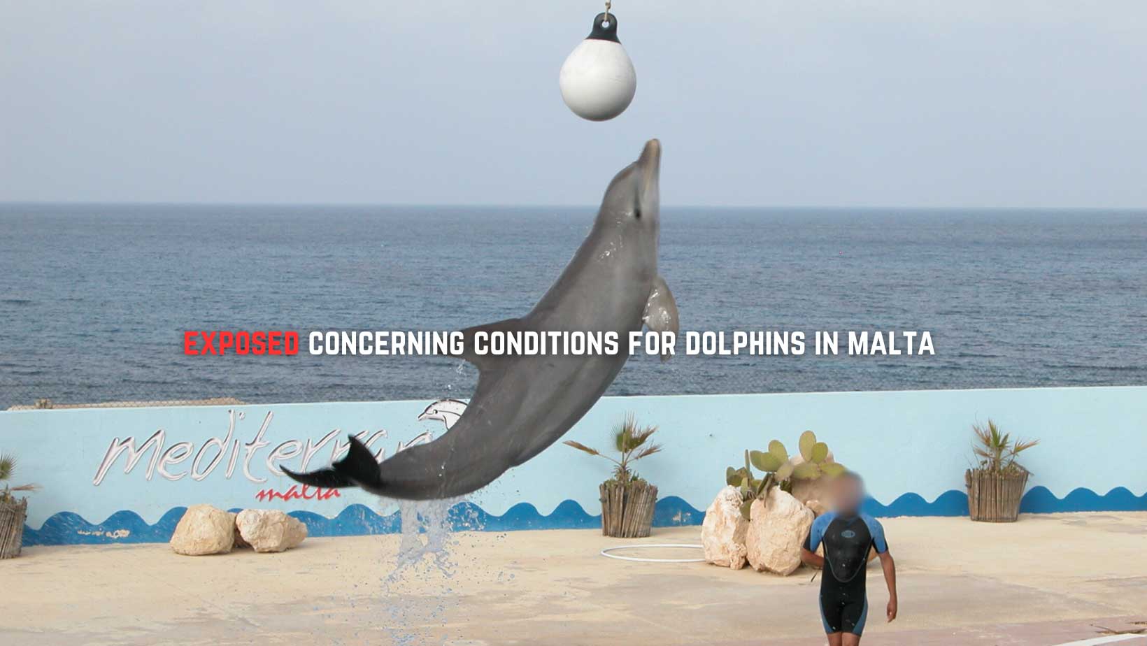 Welcome to Marine Connection