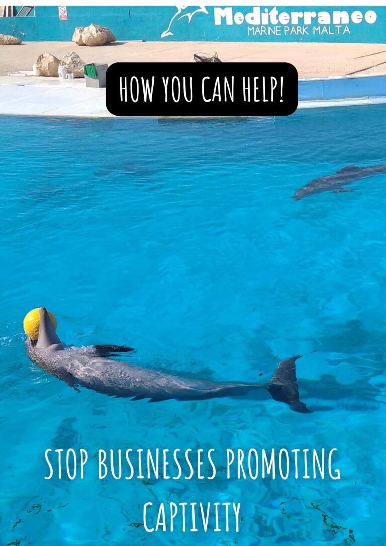 Welcome to Marine Connection